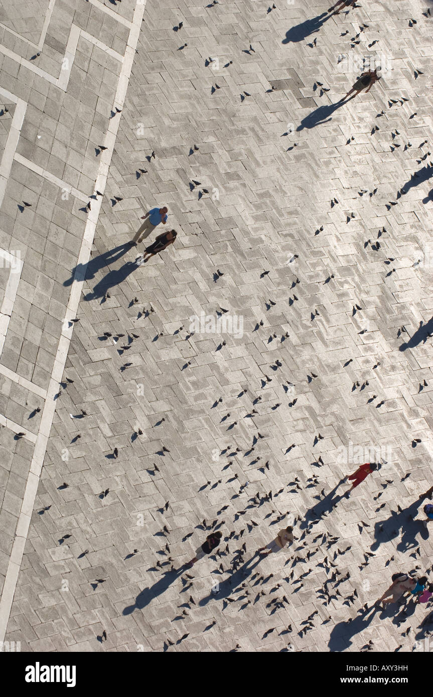 Pigeons e hi-res stock photography and images - Alamy