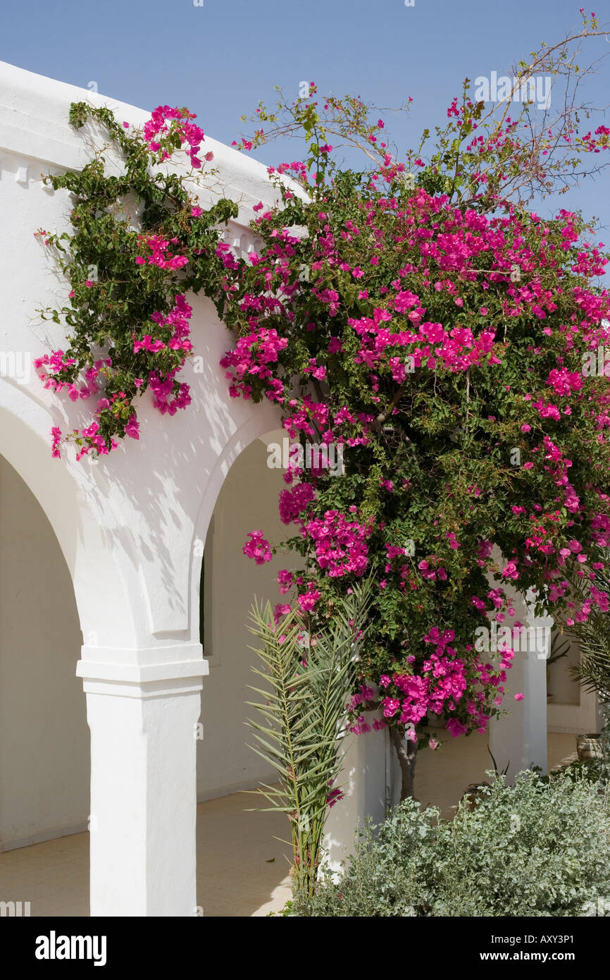 Guellala Museum. Djerba island Tunisia Stock Photo - Alamy