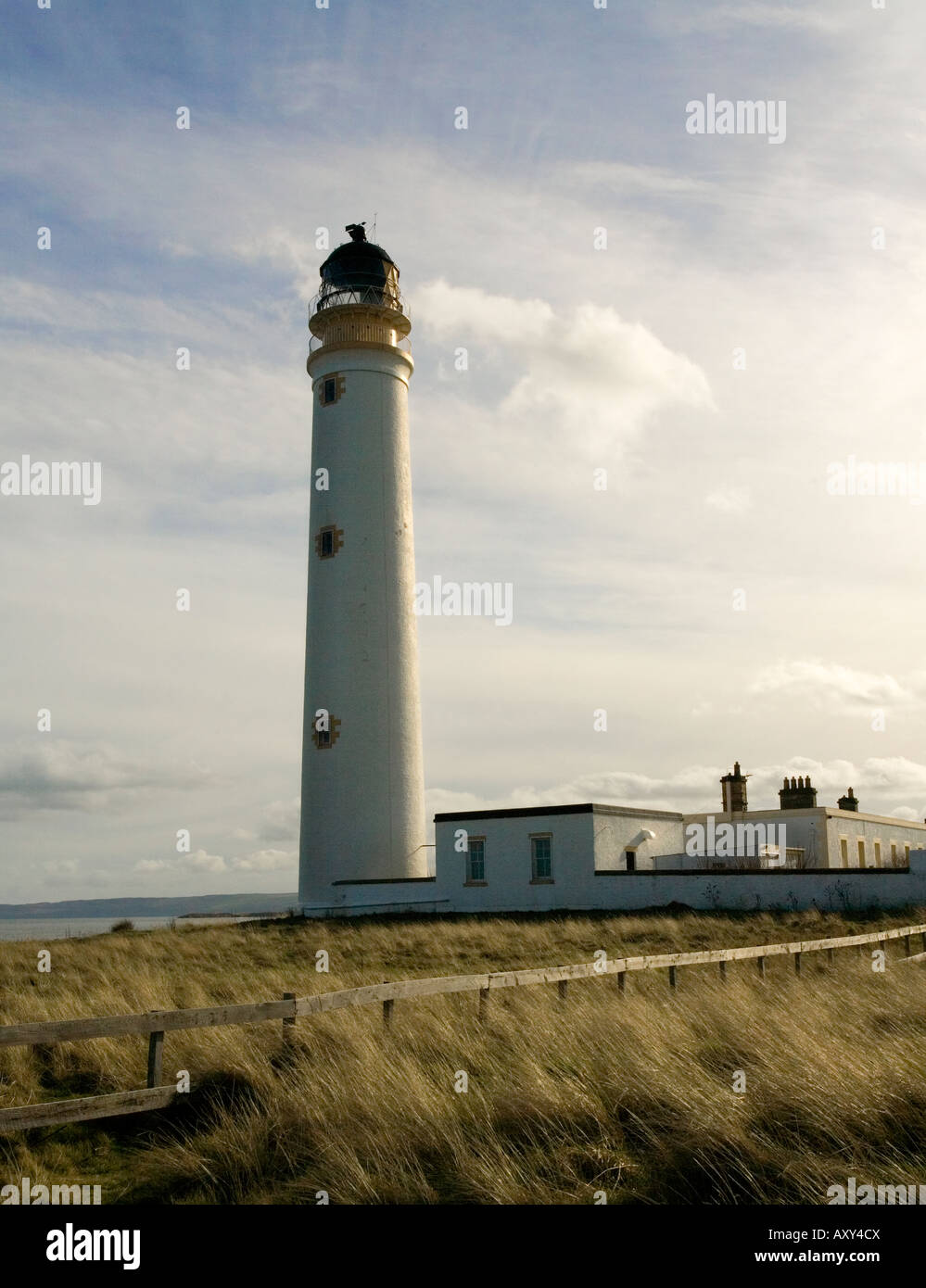 Dunbar Island High Resolution Stock Photography and Images - Alamy