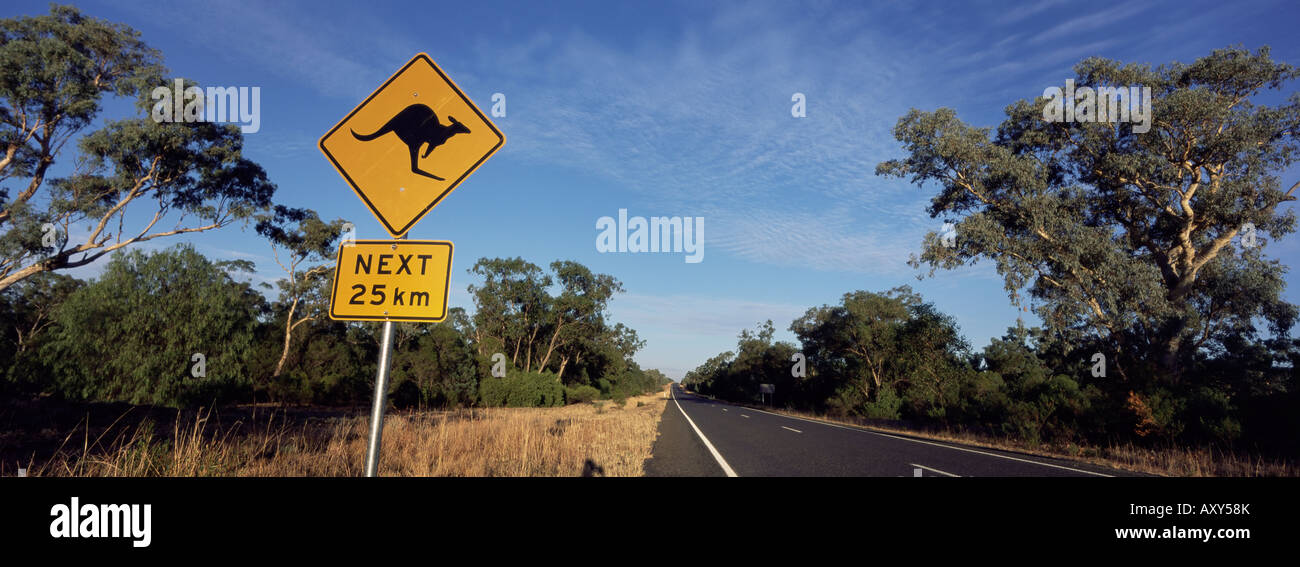 Australia kangaroo sign hi-res stock photography and images - Alamy
