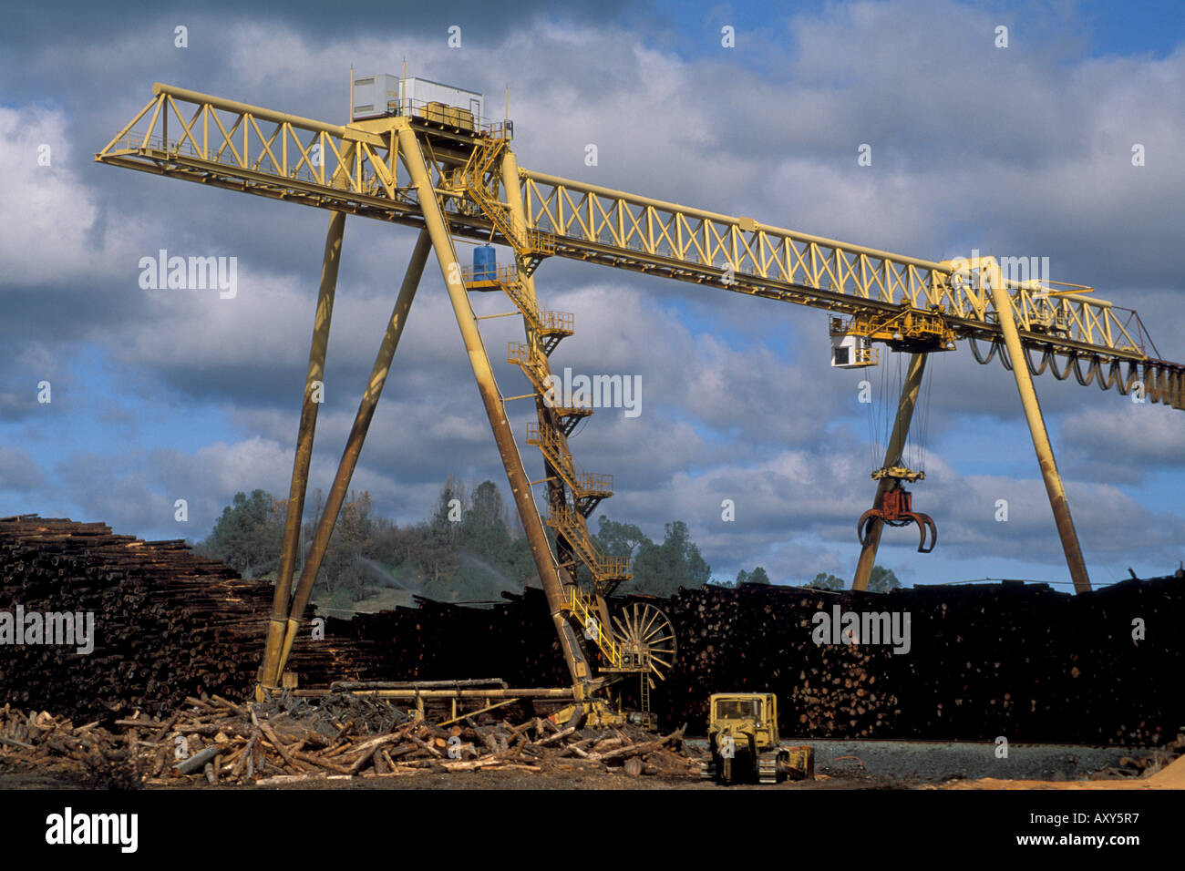 Crane over pile of cut tree wood at the Sierra Pacific Log Yard and ...