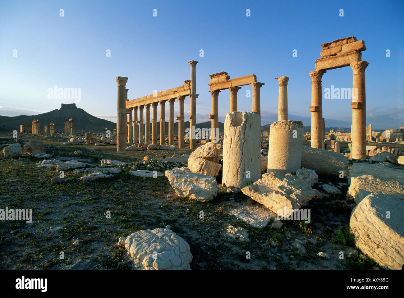 The archaeological site, Palmyra, UNESCO World Heritage Site, Syria ...