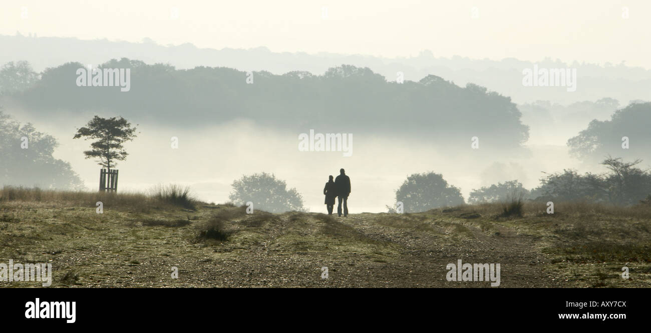 Morning stroll in Richmond Park London UK Stock Photo - Alamy