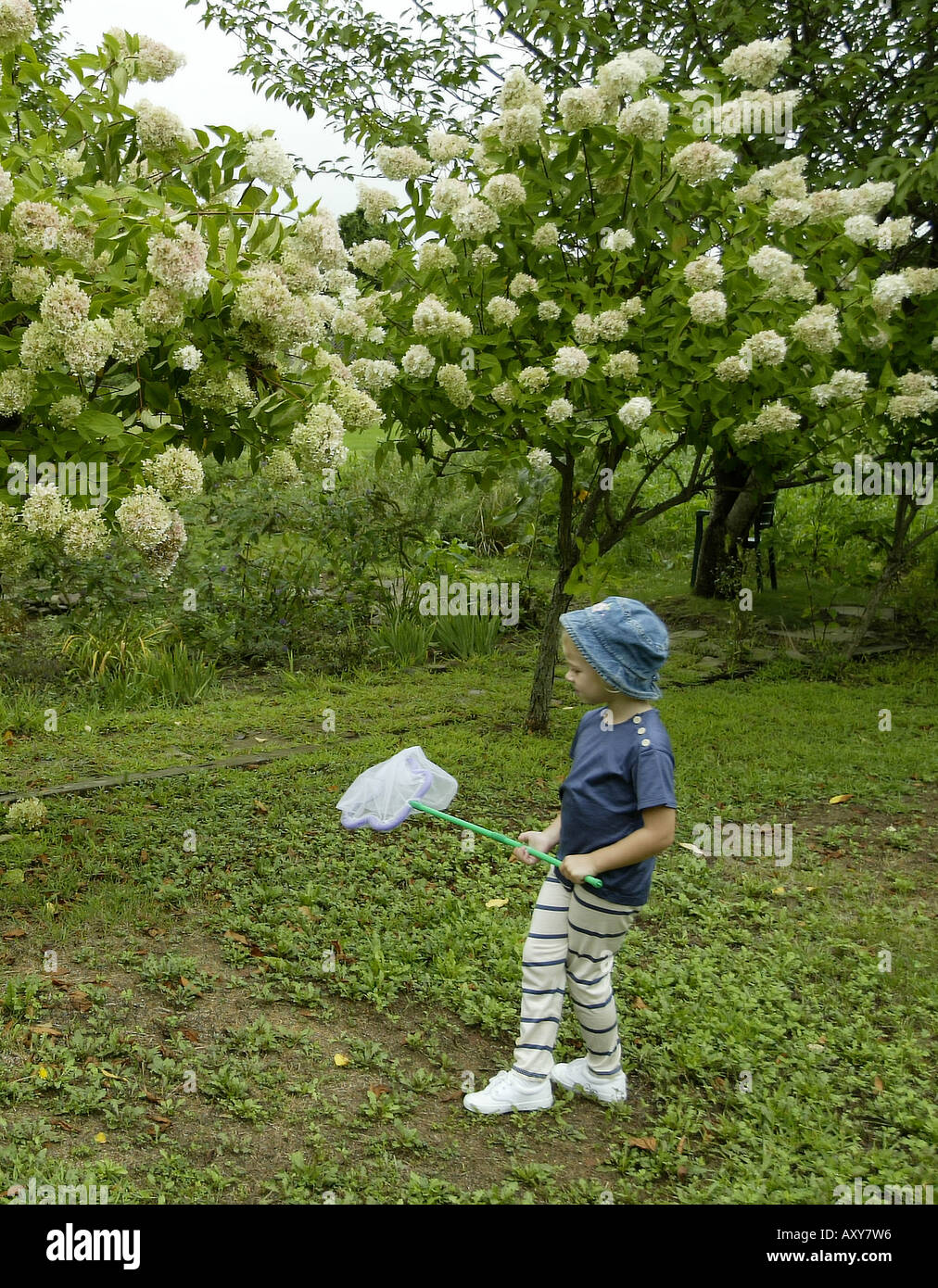 Girl trying to catch a butterfly with a net Stock Photo - Alamy