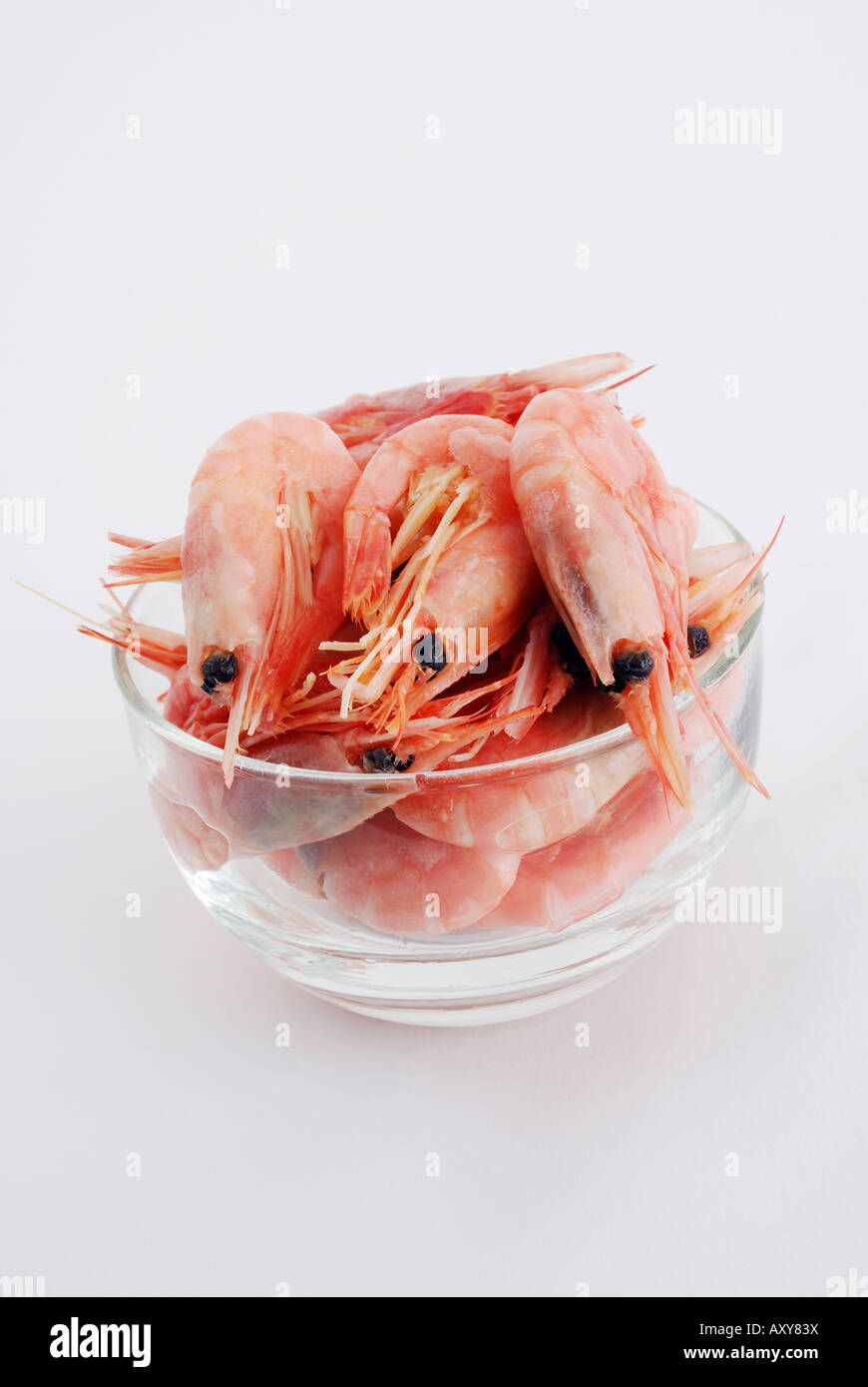 GLASS DISH OF PRAWNS ON WHITE BACKGROUND Stock Photo - Alamy