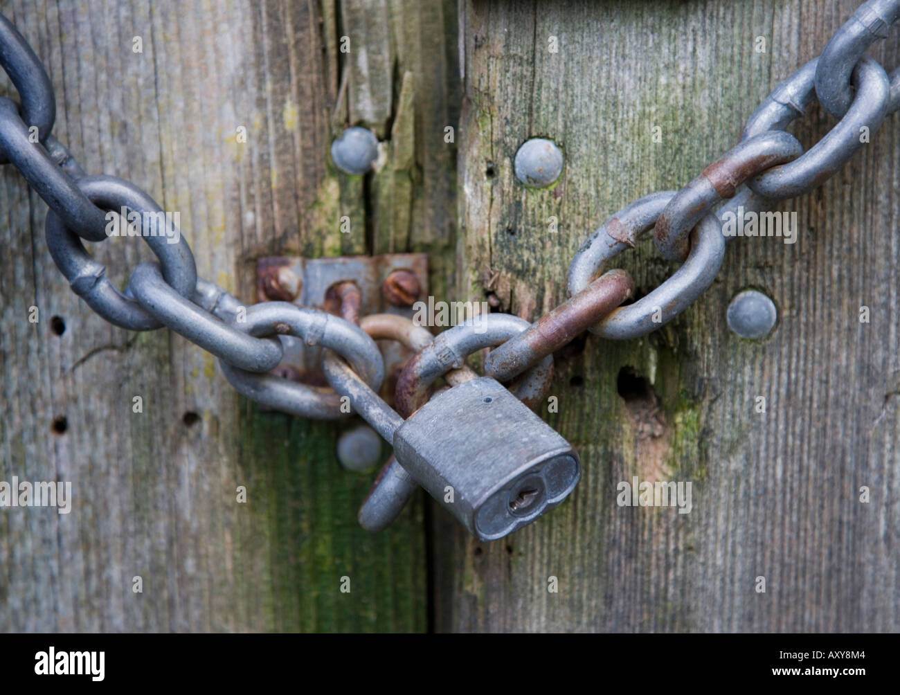 Lock and chain on an old door Stock Photo - Alamy