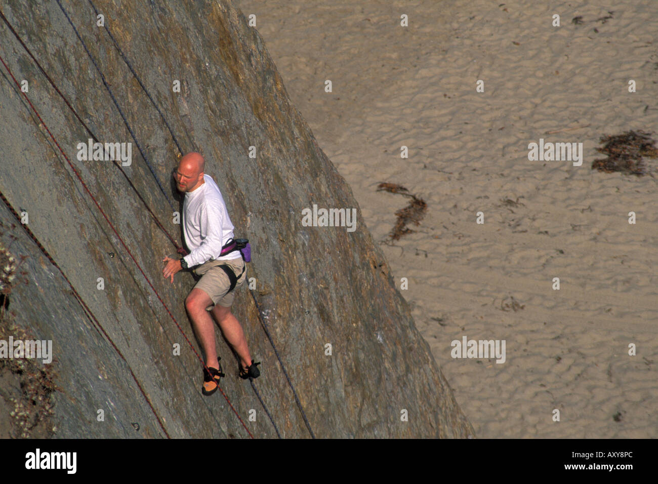 Male rock climber climbing cliff at Point Dume State Beach near Malibu ...
