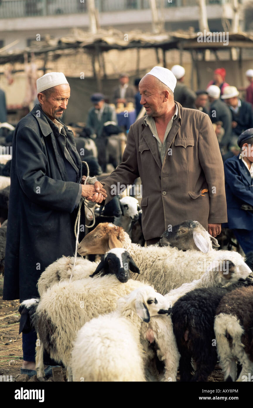 Sheep market hi-res stock photography and images - Alamy