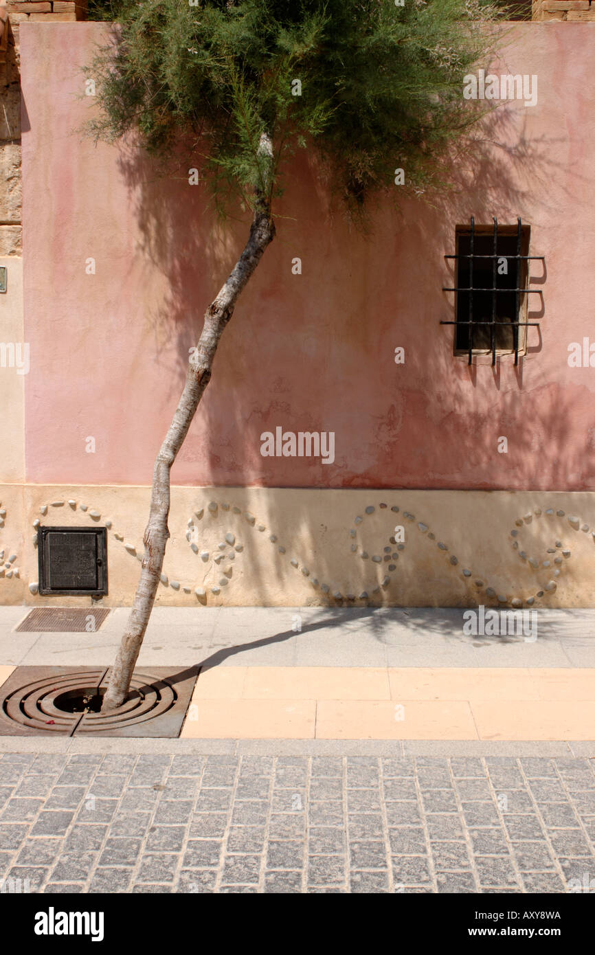 Tree and window Stock Photo - Alamy