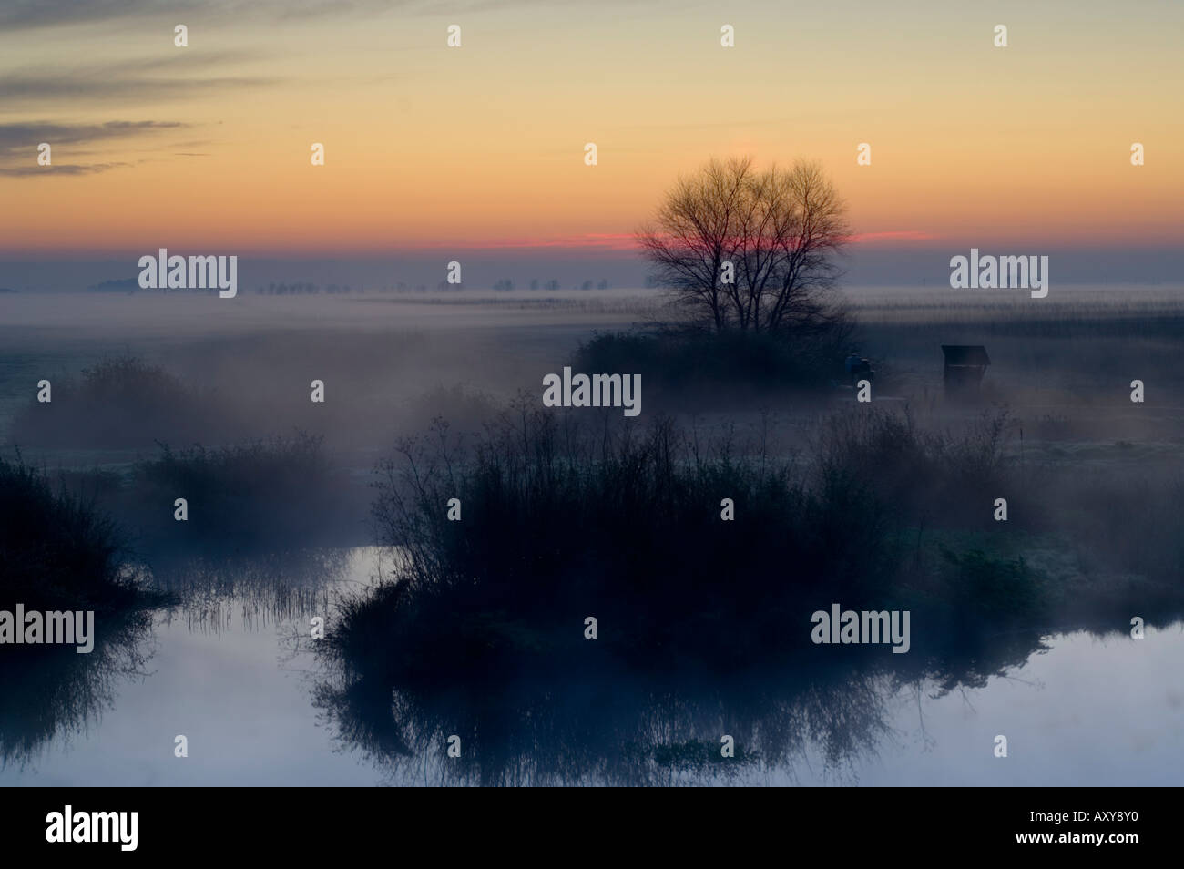 Misty morning ground fog over pond at sunrise in winter Merced National ...