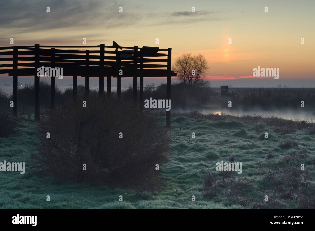 Observation platform deck at sunsrise Merced National Wildlife Refuge ...