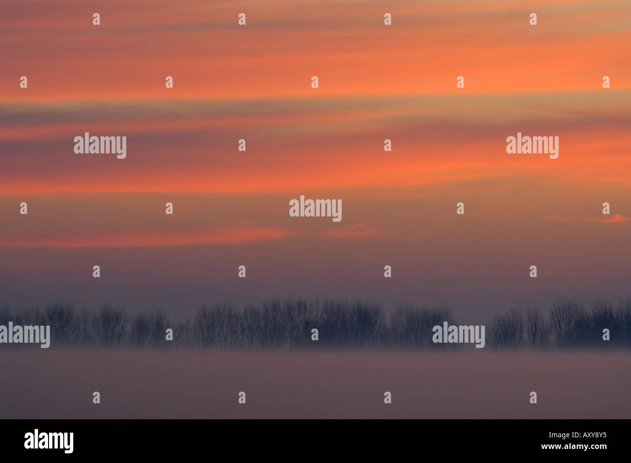 Radiation fog valley hi-res stock photography and images - Alamy