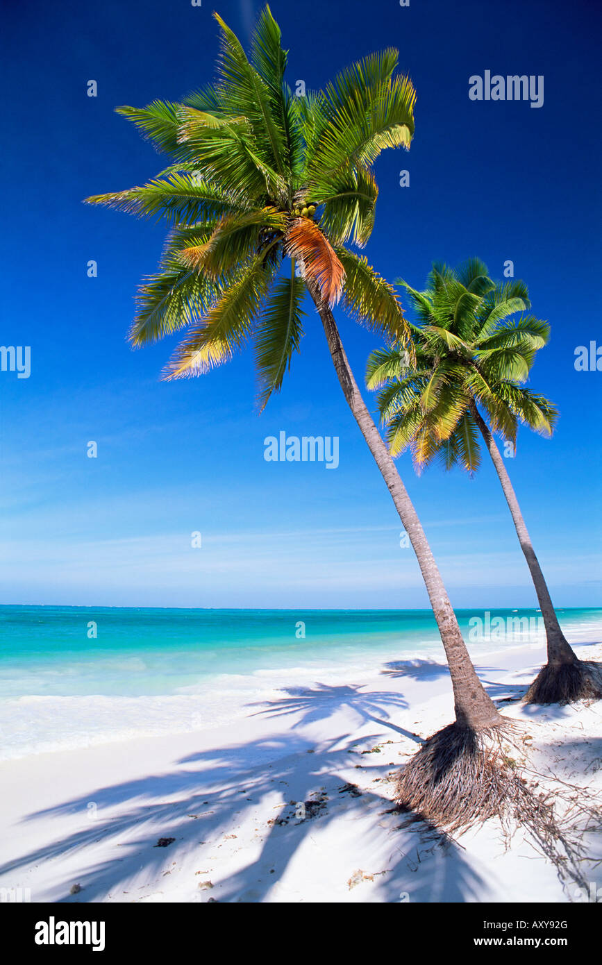 Zanzibar beach hi-res stock photography and images - Alamy