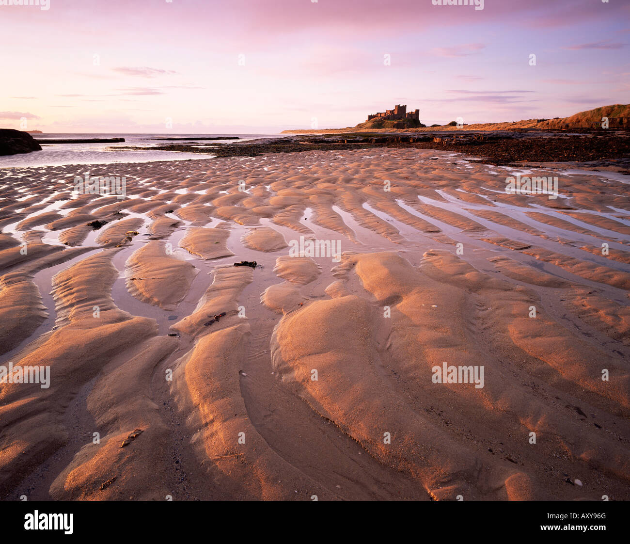 Bamburgh castle and Bamburgh beach at sunrise, Bamburgh, Northumberland ...