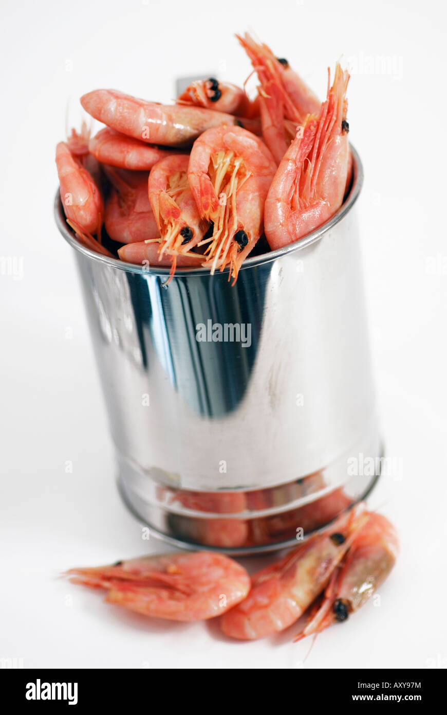 Pint of prawns hi-res stock photography and images - Alamy