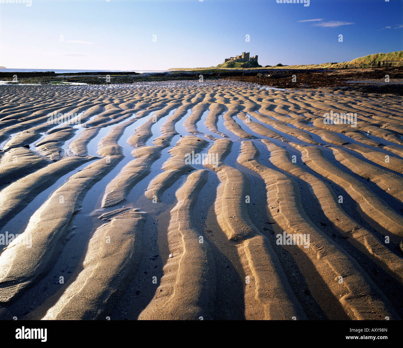 Bamburgh castle and Bamburgh beach, Bamburgh, Northumberland, England ...
