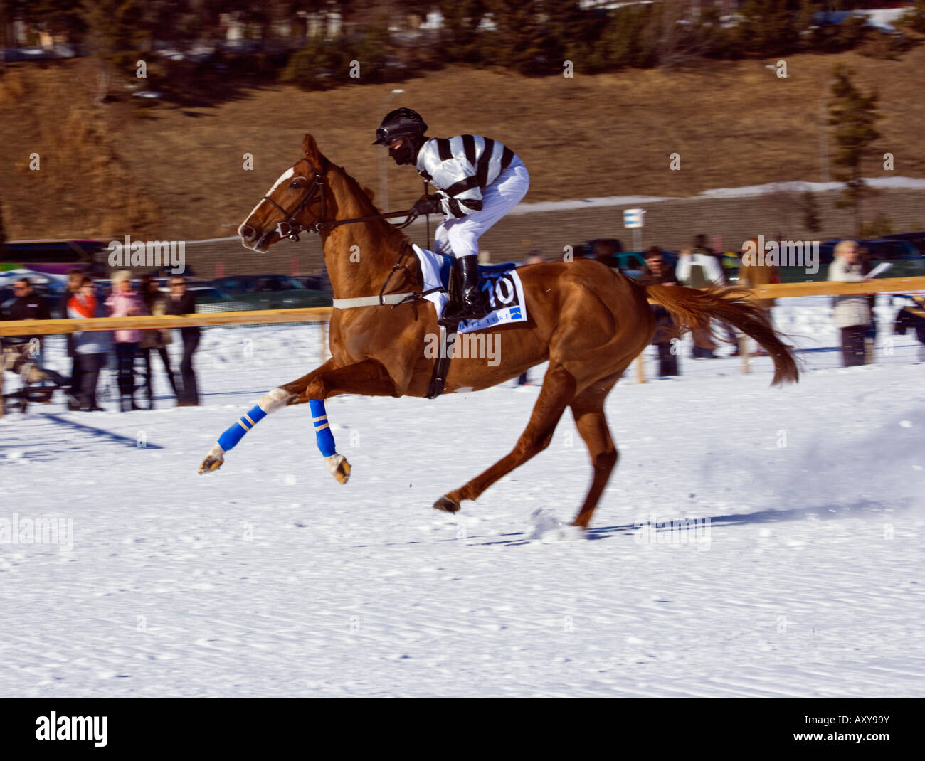St Moritz White Turf horse race snow Switzerland Stock Photo - Alamy