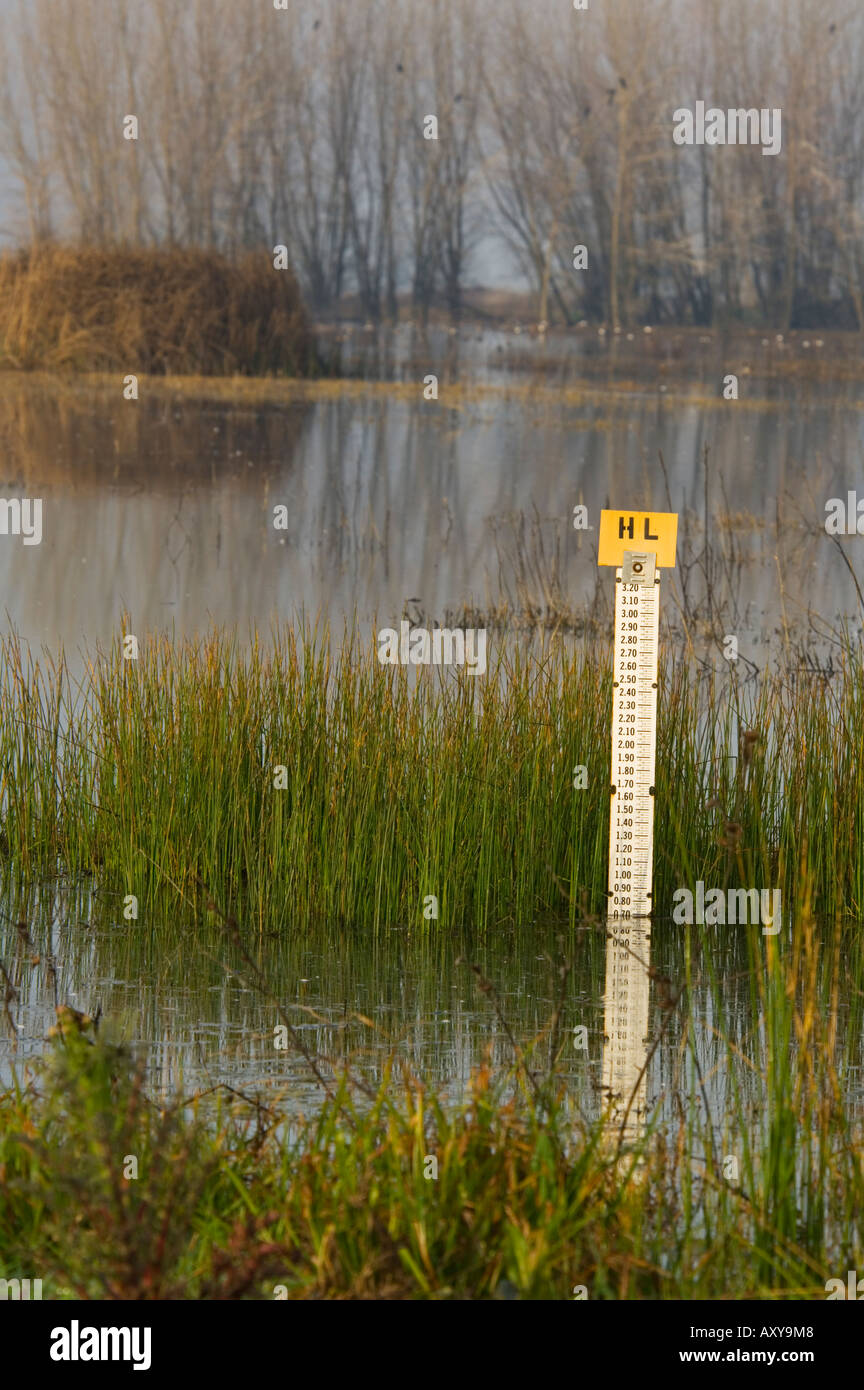 Water depth guage winter wetland pond Merced National Wildlife Refuge ...