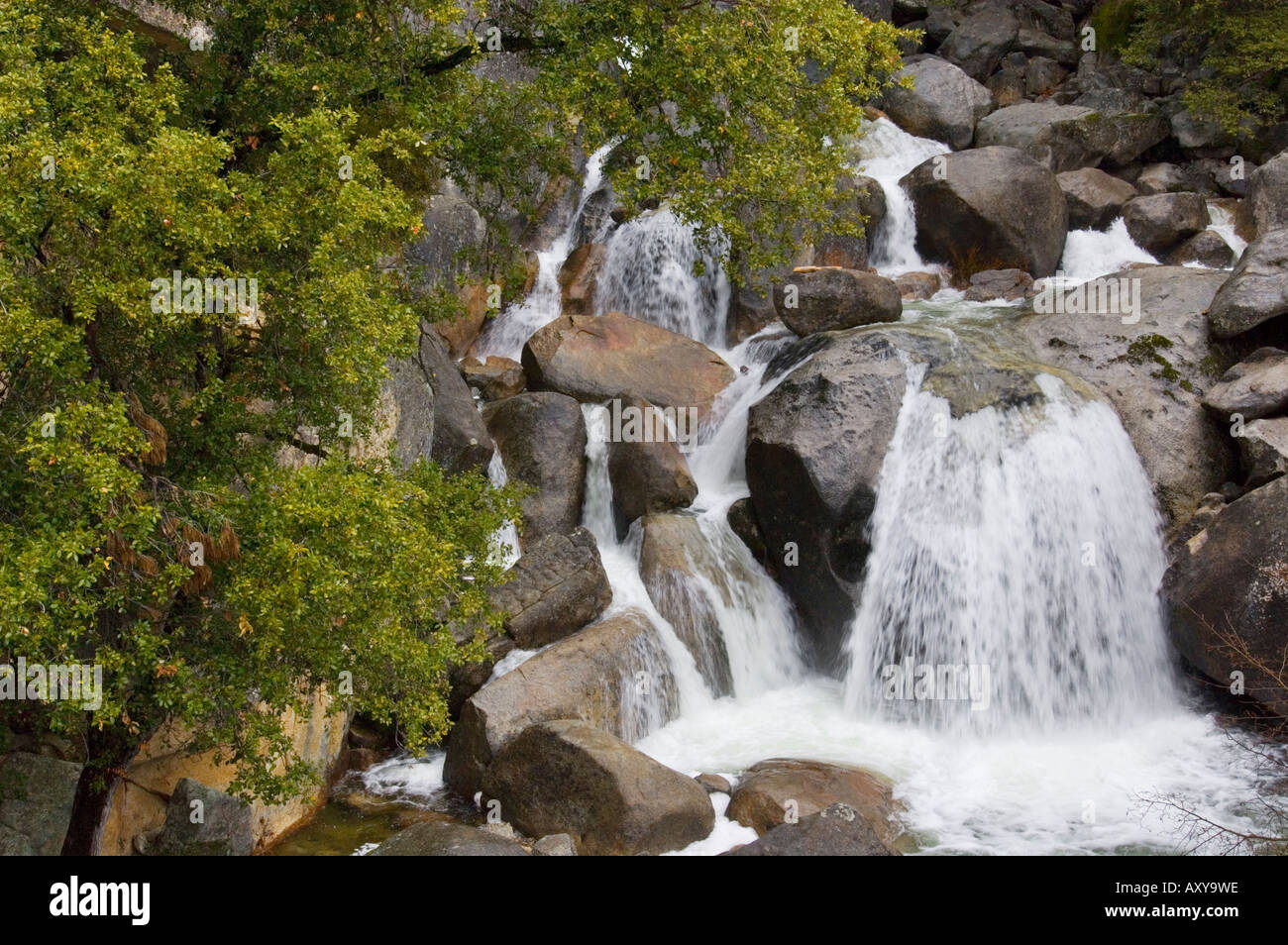 Water flowing down falls along Cascade Creek during spring runoff ...