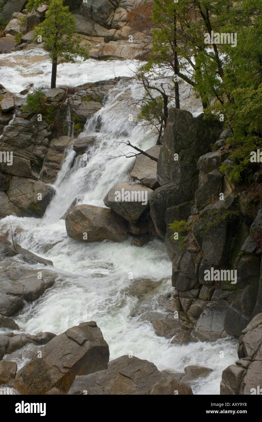 Confluence of stream water Tamarak and Cascade Creek during spring ...