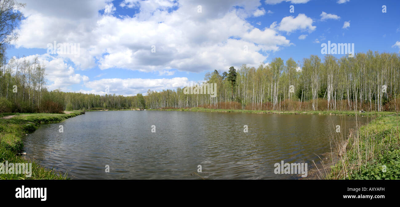 Panorama of forest lake at spring (background). Russia, Moscow, Losiny ...