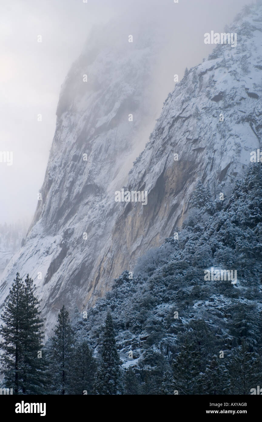 Fresh snow on steep granite cliffs below Glacier Point Yosemite Valley ...