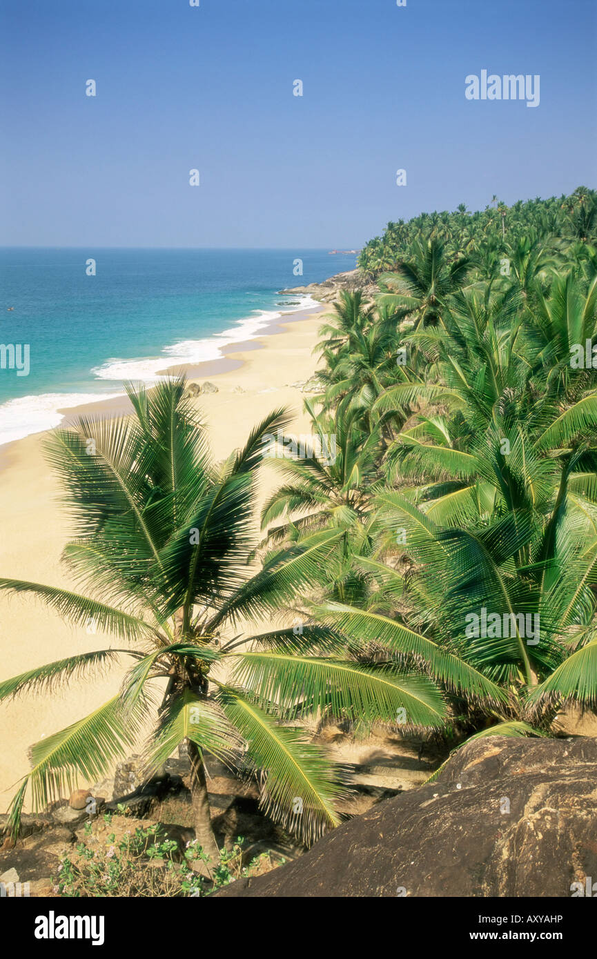Coconut palms and beach, Kovalam, Kerala state, India, Asia Stock Photo ...