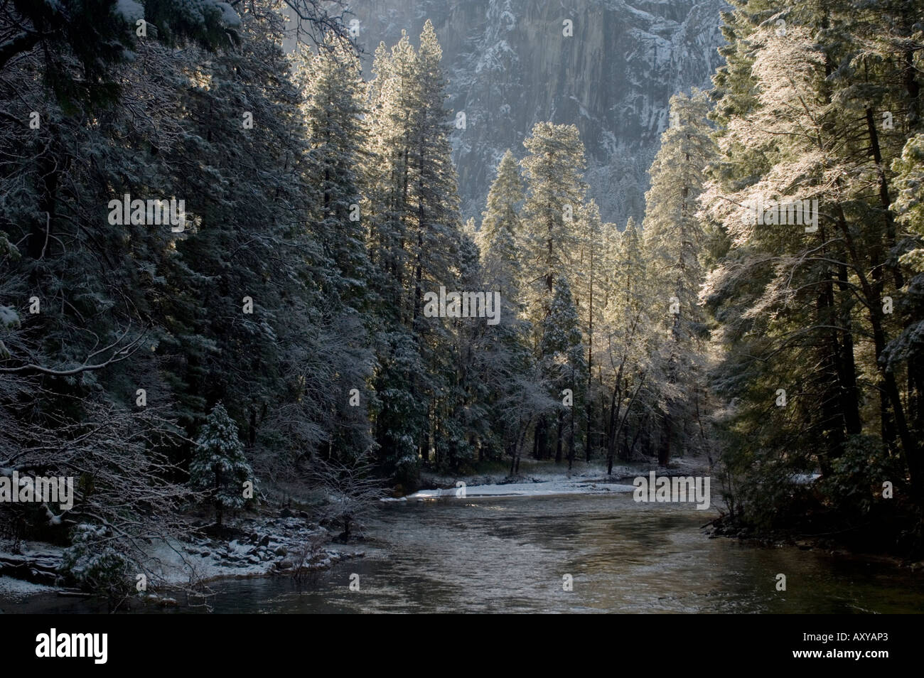 Frosted plants by a riverbank hi-res stock photography and images - Alamy