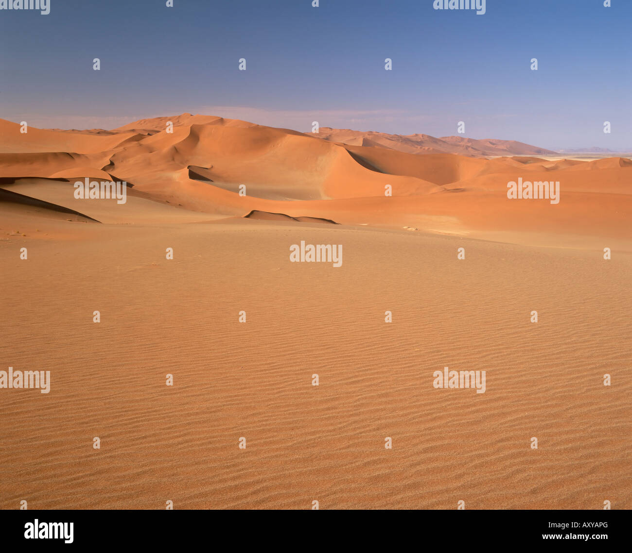 Parabolic dune hi-res stock photography and images - Alamy