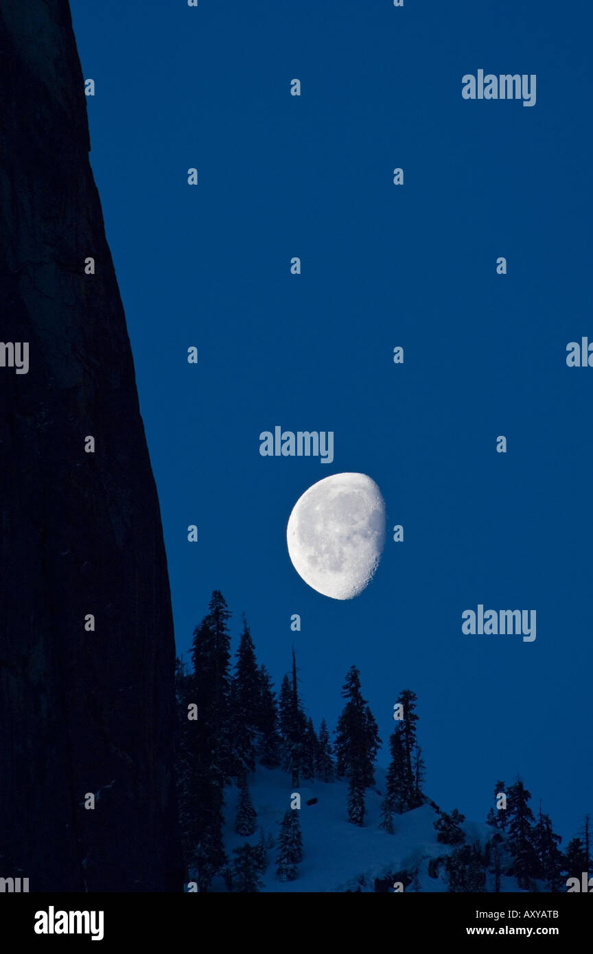 Moon and waning and forest hi-res stock photography and images - Alamy