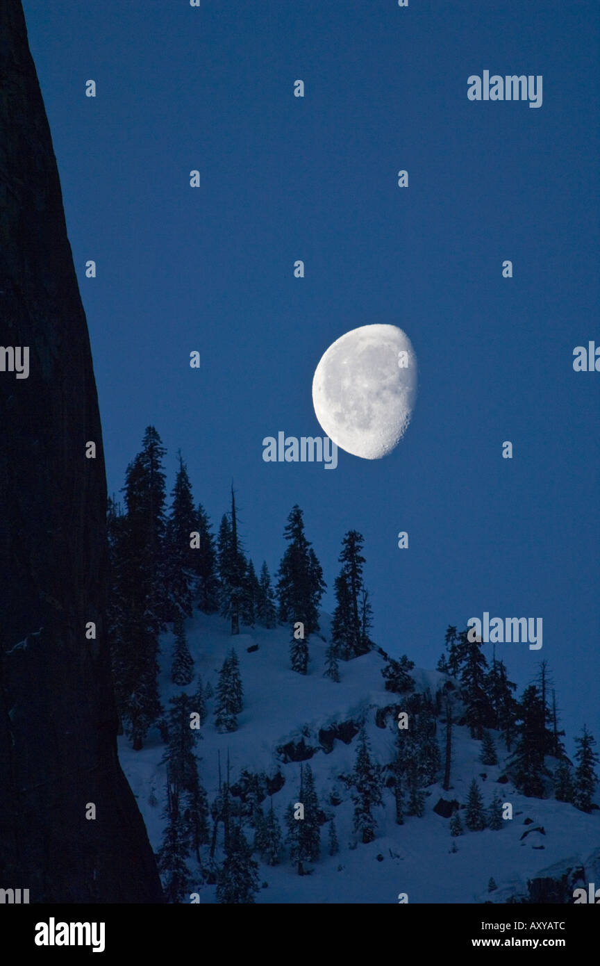 Moon set at dawn next to cliff over trees on snow mountain ridge in ...
