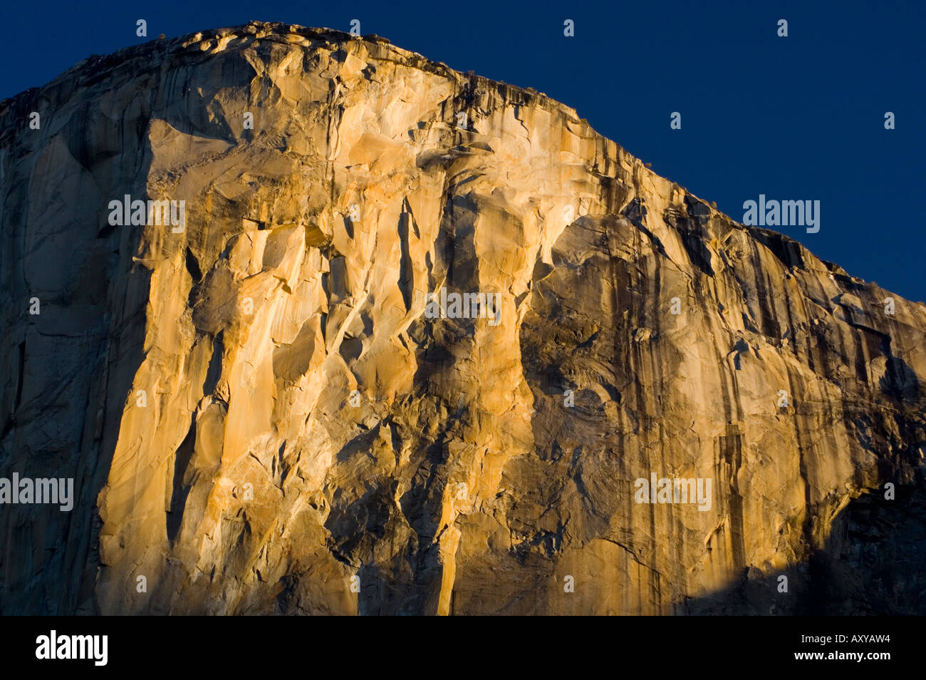 Golden sunrise light on sheer granite wall cliff face of El Capitan ...