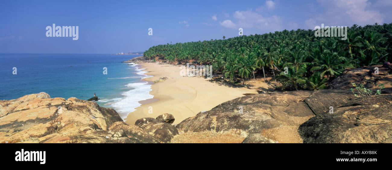 Coconut palms and beach, Kovalam, Kerala state, India, Asia Stock Photo ...