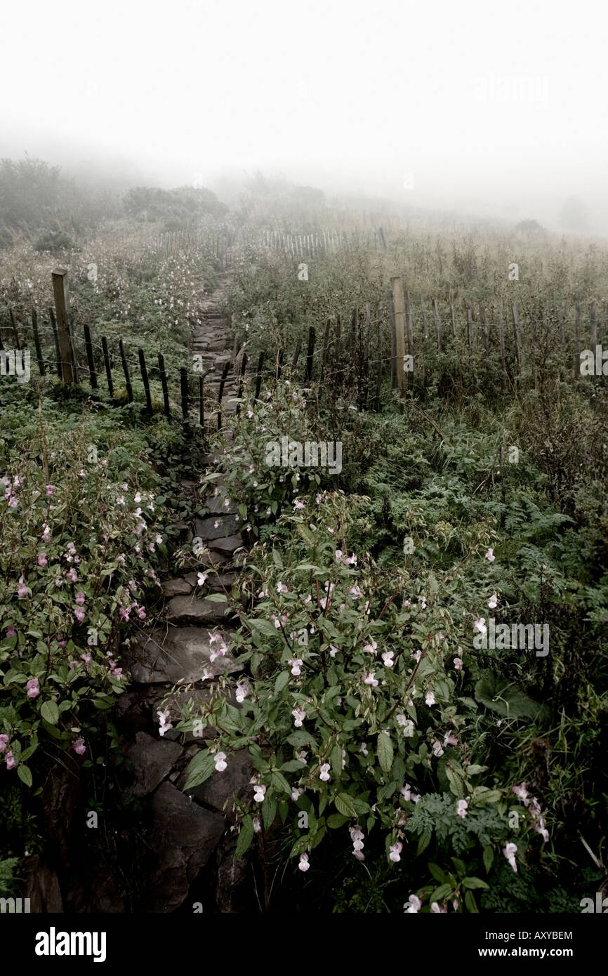 Heavy Autumn fog at Arthir s seat in Edinburgh Stock Photo - Alamy