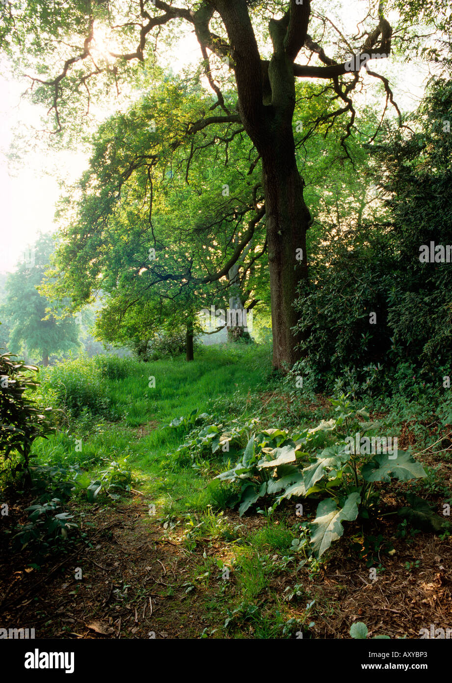 UK Cheshire Wilmslow Styal Norcliffe Hall path through field Stock ...