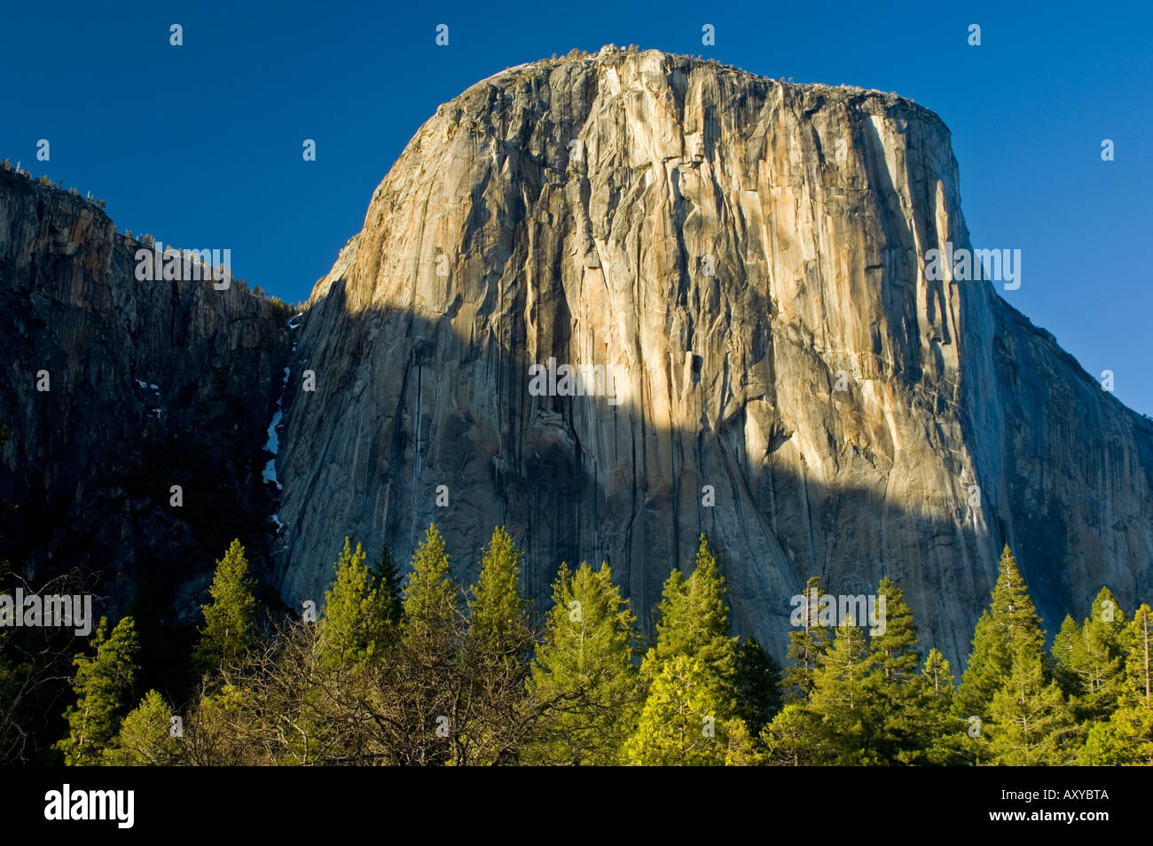 Sunset light on sheer granite cliff wall of El Capitan above Yosemite ...
