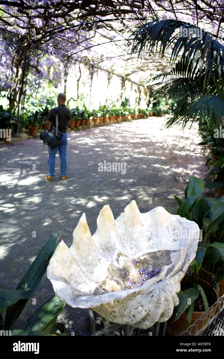 Giant clam shell hi-res stock photography and images - Alamy