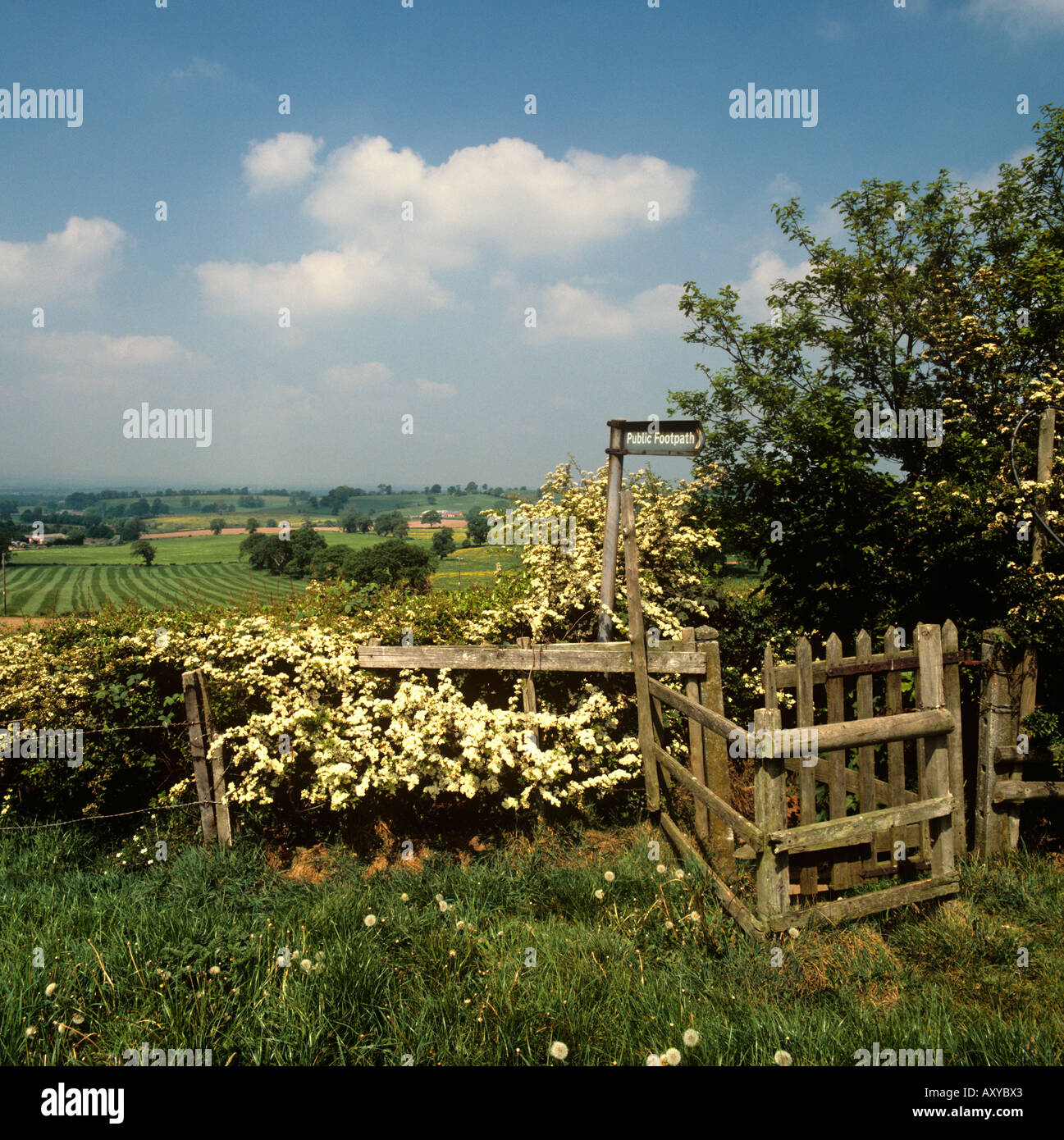 Field Path Through Cultural Landscape High Resolution Stock Photography ...