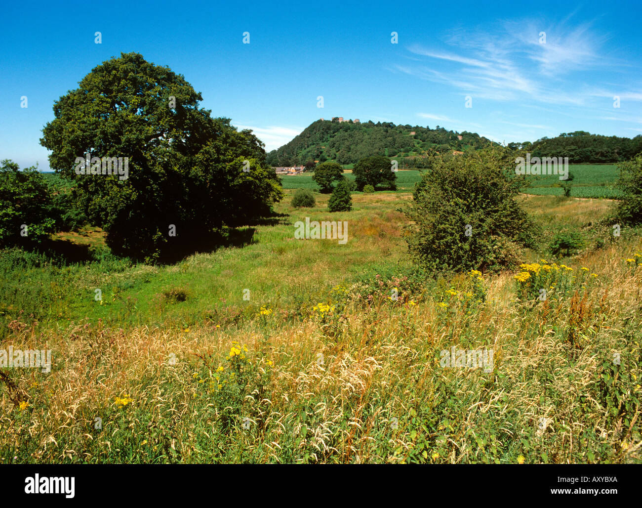 UK England Cheshire Beeston Castle across farmland Stock Photo - Alamy