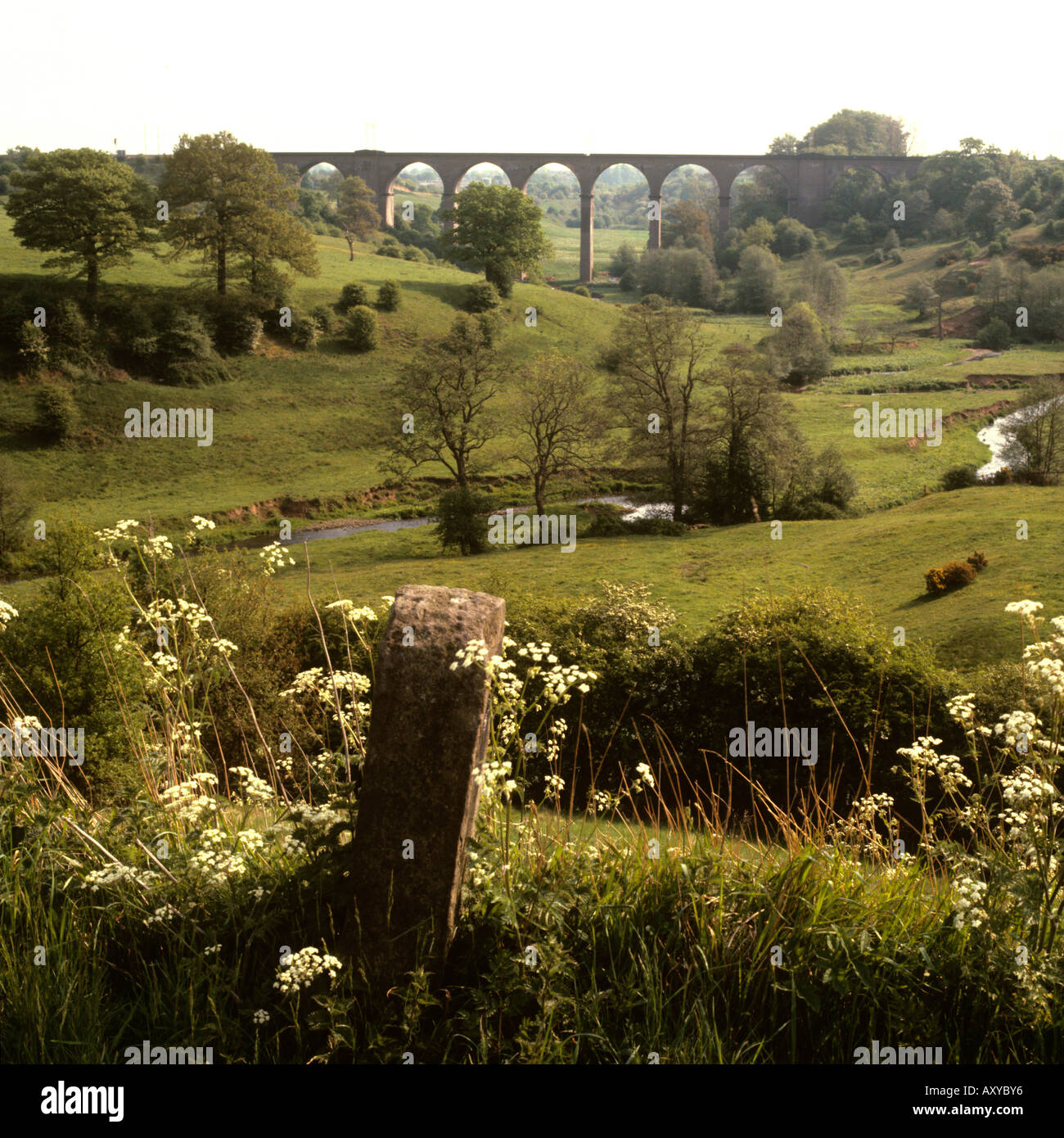 UK Cheshire Congleton railway viaduct over River Dane Stock Photo - Alamy