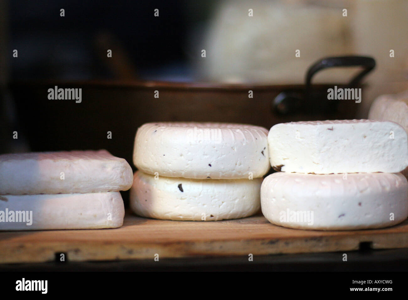 Goats Cheese at Borough Market London Stock Photo - Alamy