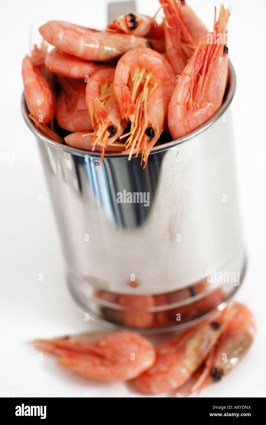 STAINLESS STEEL PINT OF PRAWNS ON WHITE BACKGROUND Stock Photo - Alamy