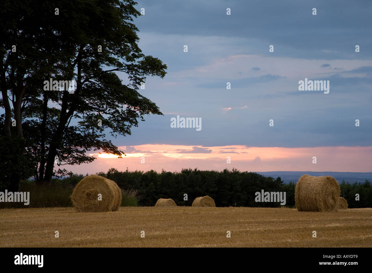 Sunset from Garrowby hill in Yorkshire Stock Photo - Alamy