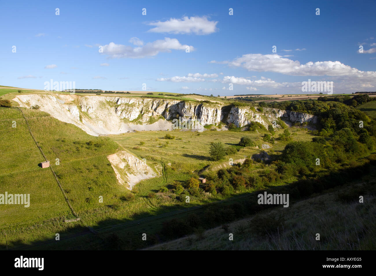 Chalk outcrop on Fairydale near Fridaythorpe in the Yorkshire Wolds ...