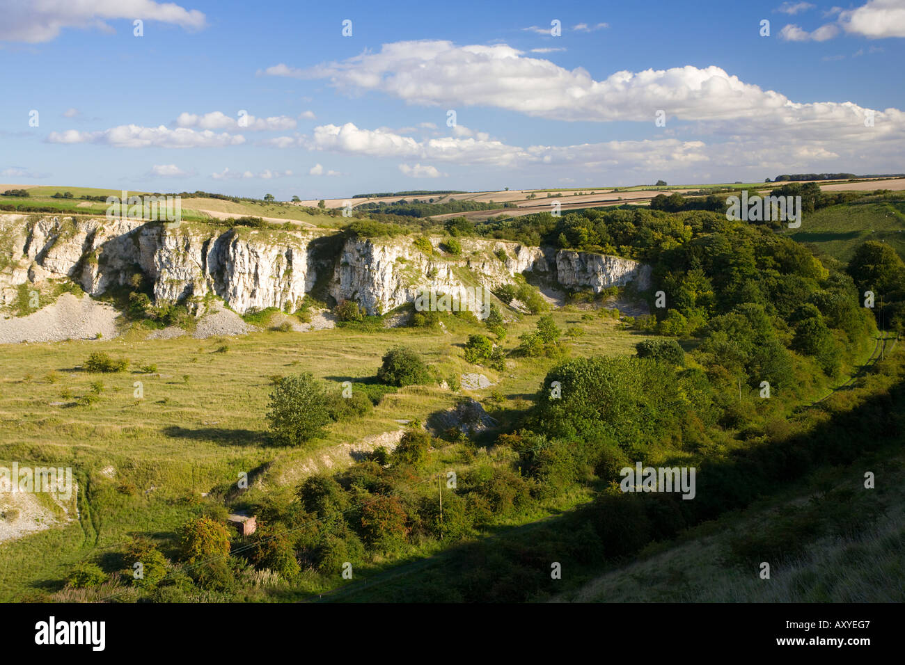 Chalk outcrop on Fairydale near Fridaythorpe in the Yorkshire Wolds ...