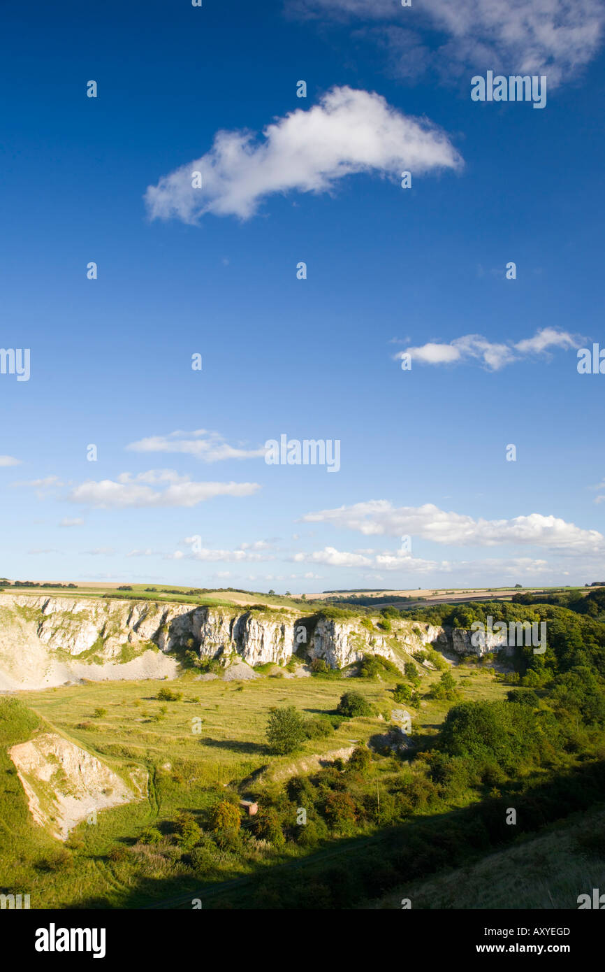 Chalk outcrop on Fairydale near Fridaythorpe in the Yorkshire Wolds ...