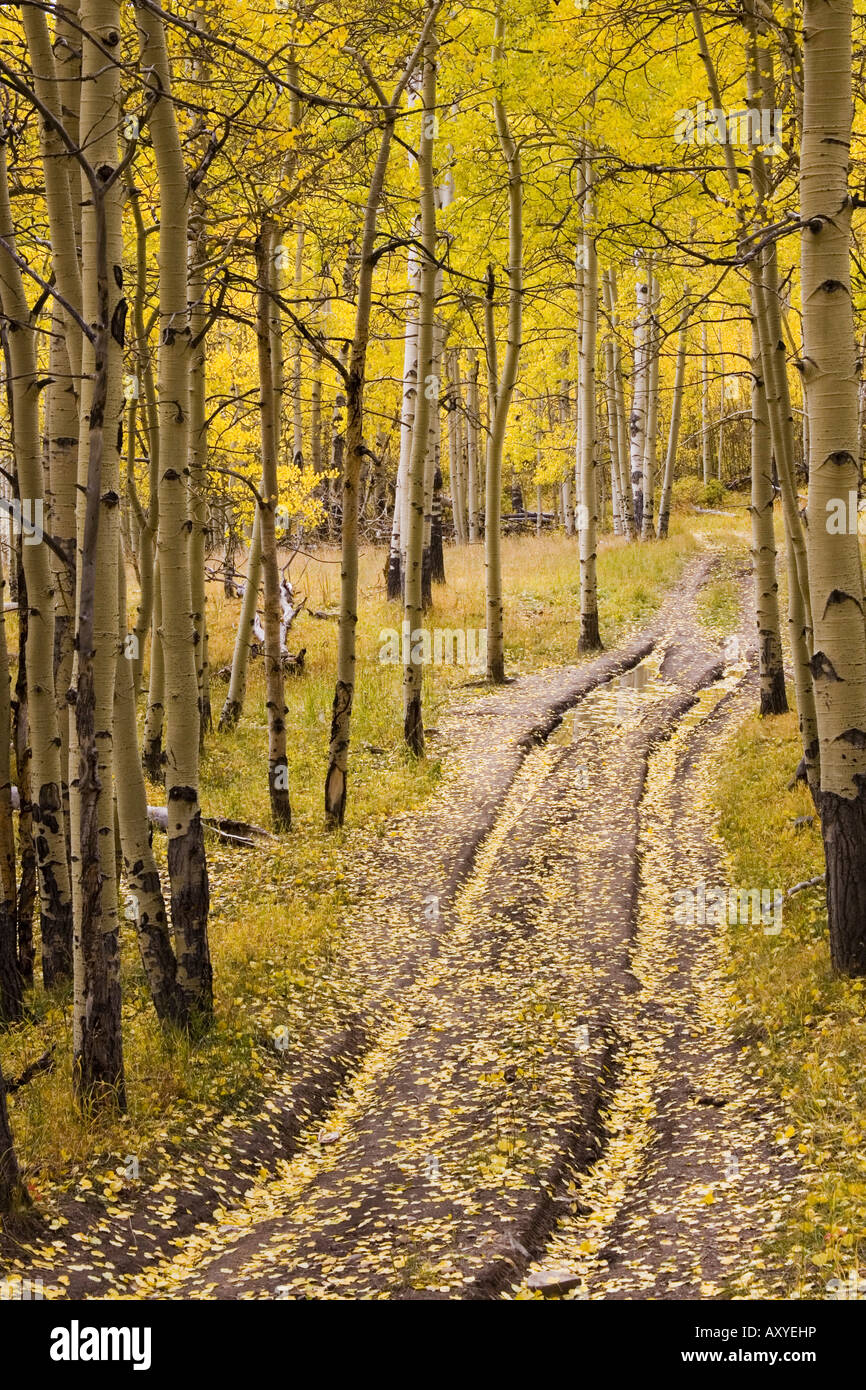 Two Track High Resolution Stock Photography and Images - Alamy