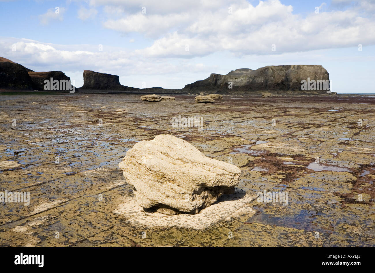 View across Saltwick bay to Saltwick nab near Whitby North Yorkshire ...