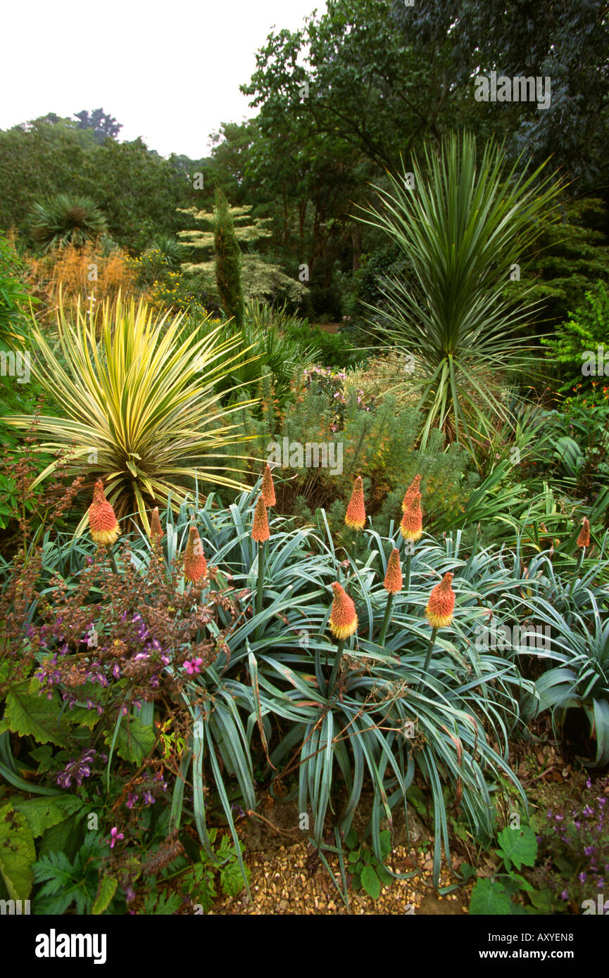 Tropical planting uk hi-res stock photography and images - Alamy