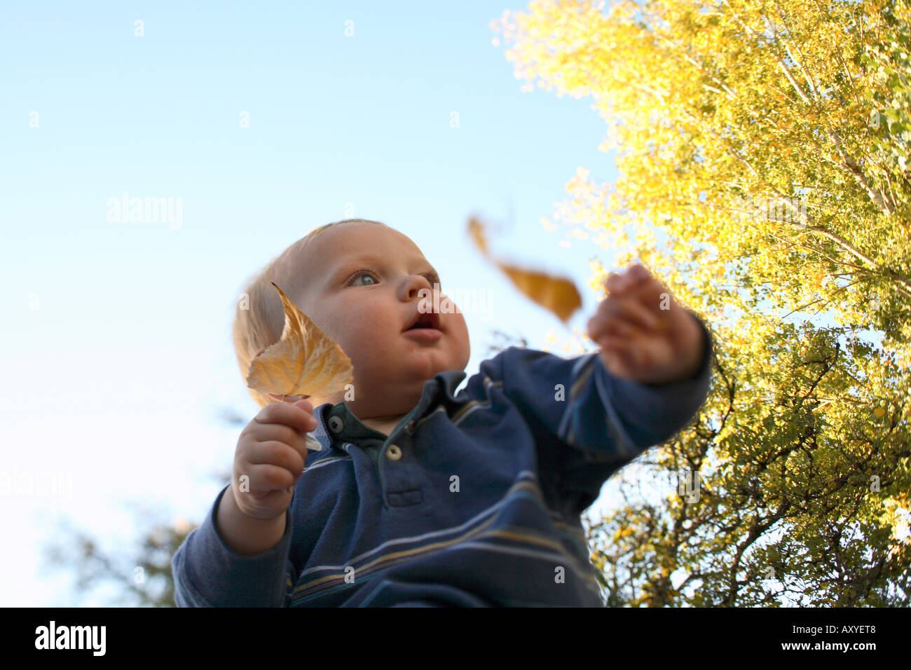 Baby outside playing with leaves Stock Photo - Alamy